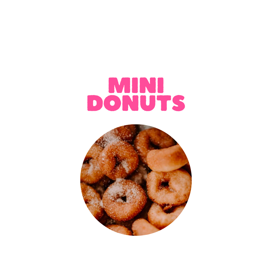 State Fair Mini Donuts - Wholesale Mini Donuts for Concessions